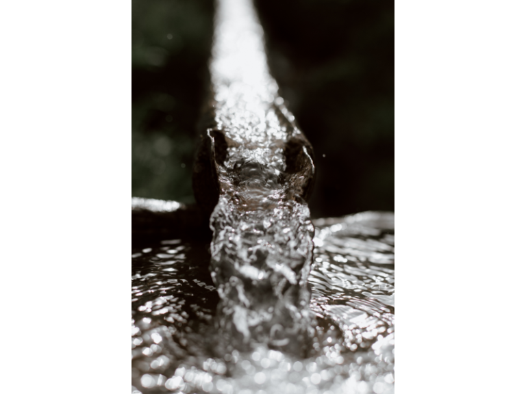 Four Signs Of A Collapsed Sewer Line: Expert Guide | Clover Contracting